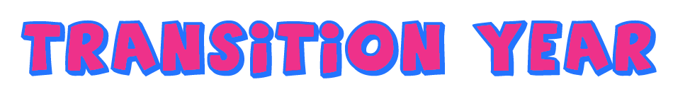 Transition Year - Holy Family School